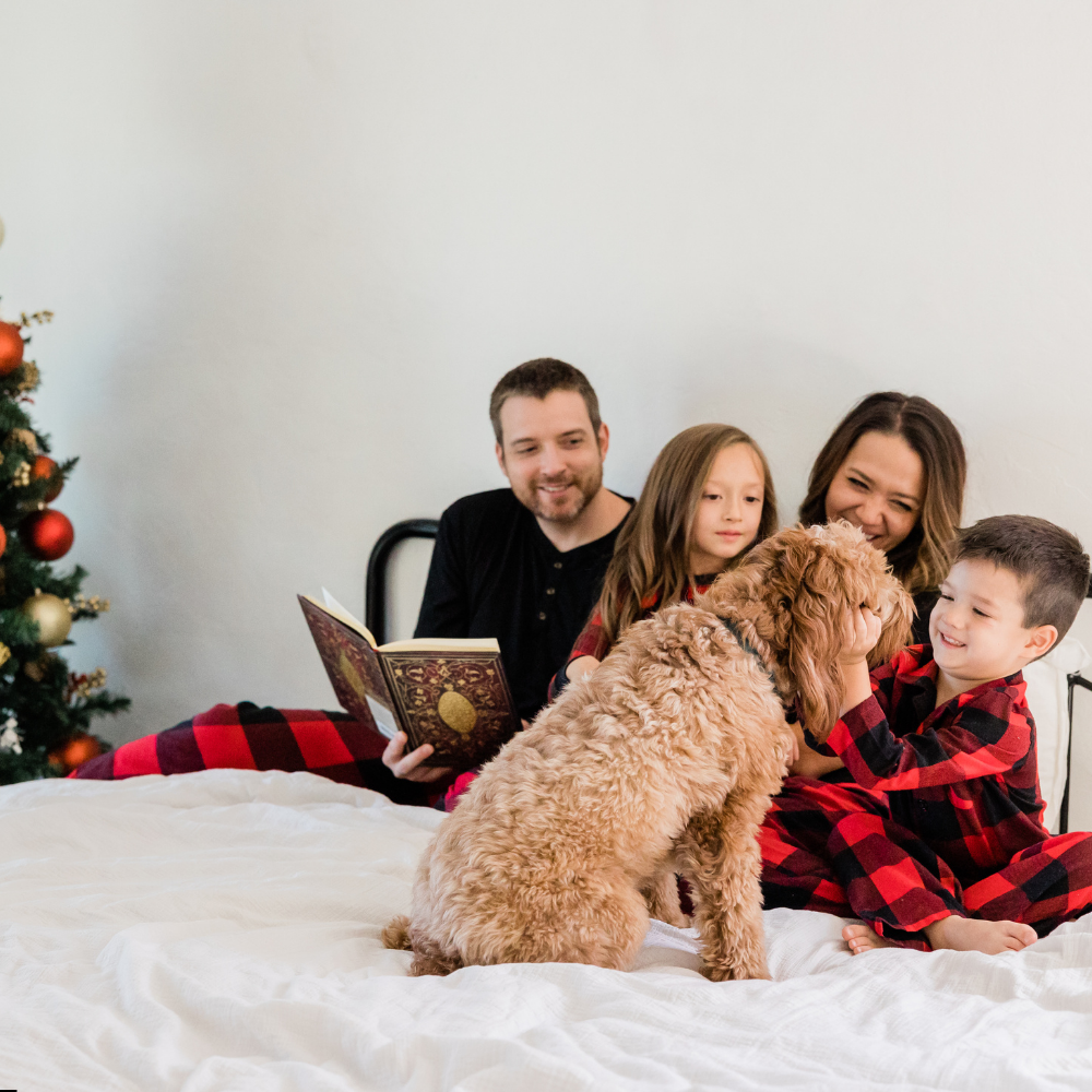 Seasonal – Practical Gifts N Gadgets